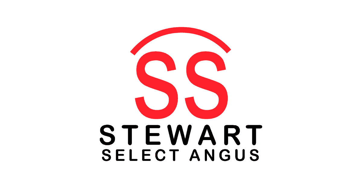 Bull Information | Stewart Select Angus